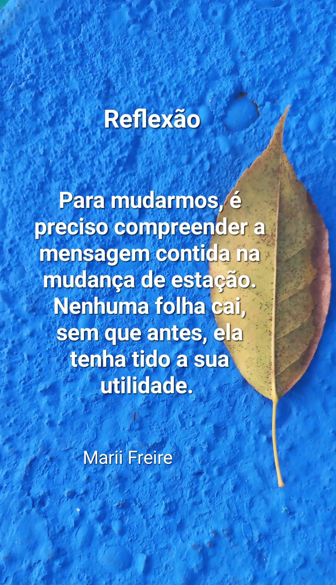 Reflexão Pensamentos Me Vem Comigo